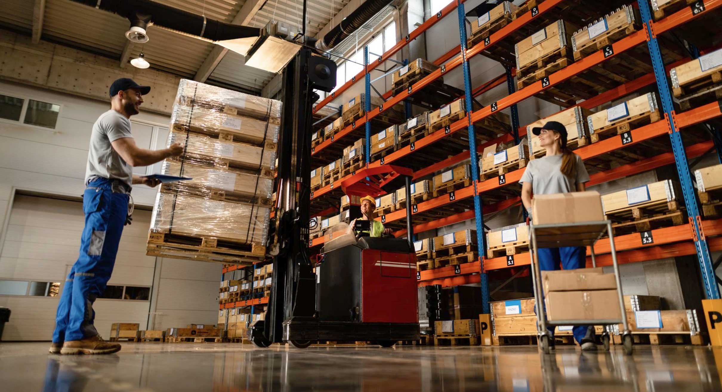 Tipo de embalaje o packing en el sector de la distribución